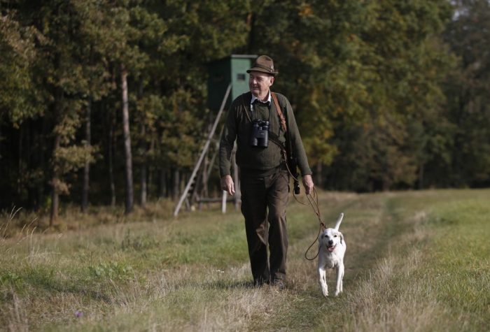 Jagdhund - Basisinformation, Jagdfakten Österreich | Jagdfakten