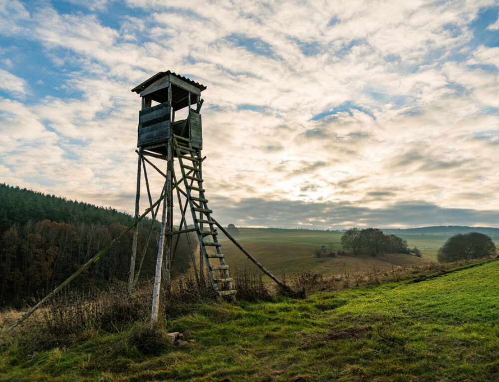 Hochstand, Bodensitz & Co: Ansitzeinrichtungen im Überblick